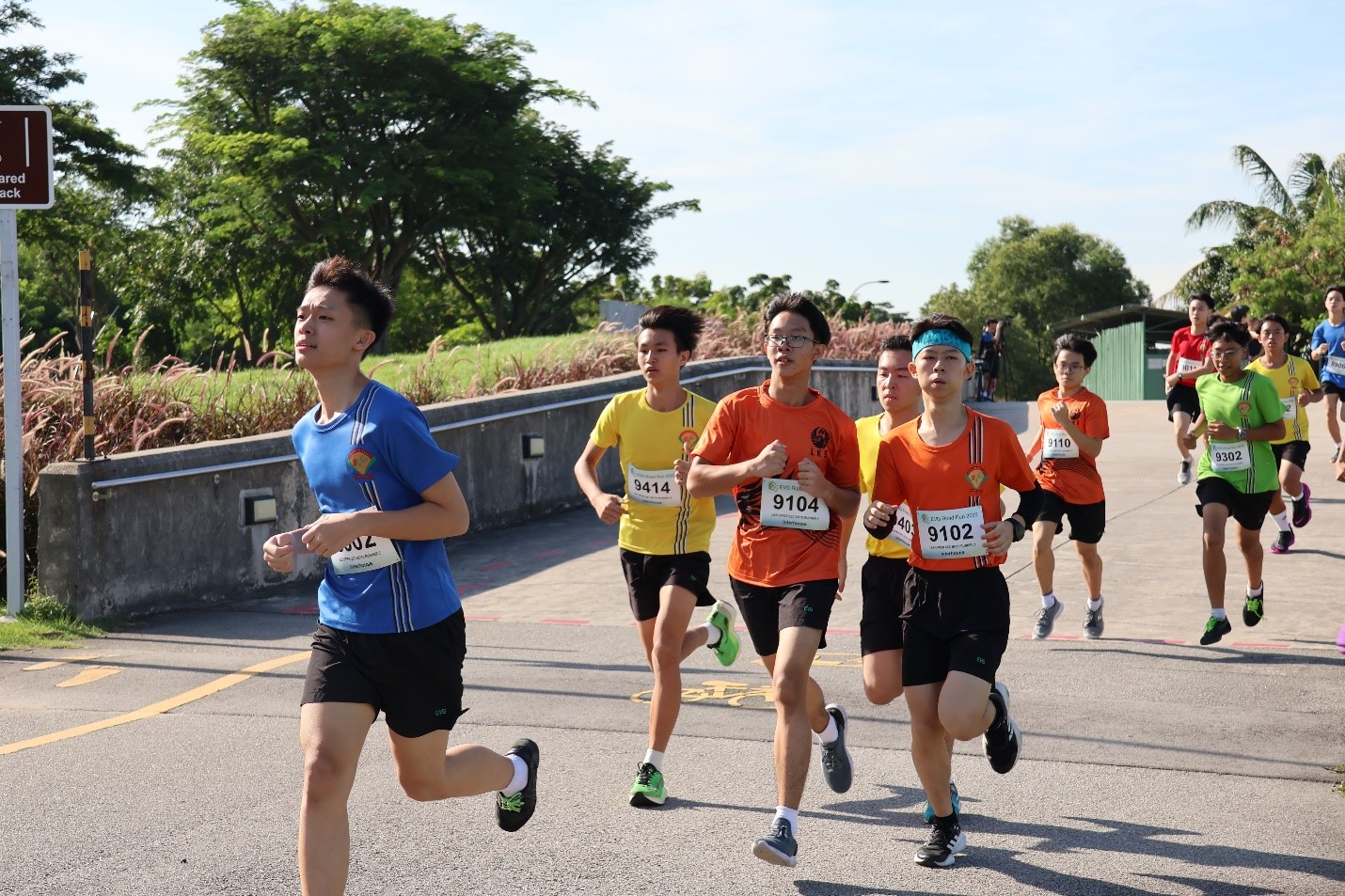 Road Run